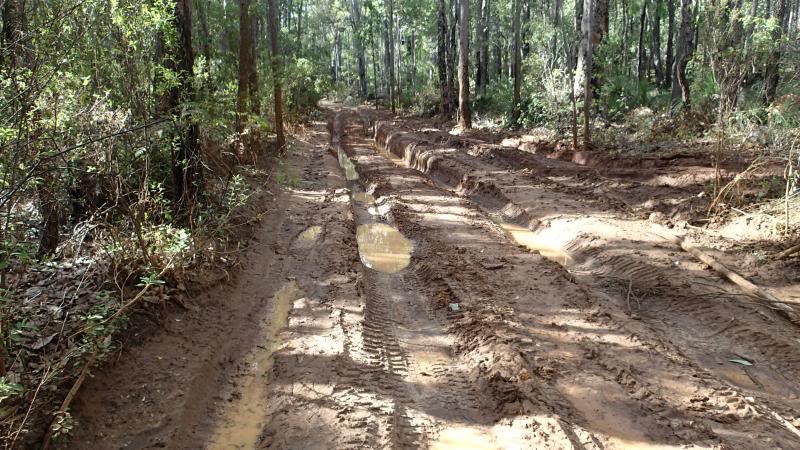 Captain Fawcett Track | 4x4Earth