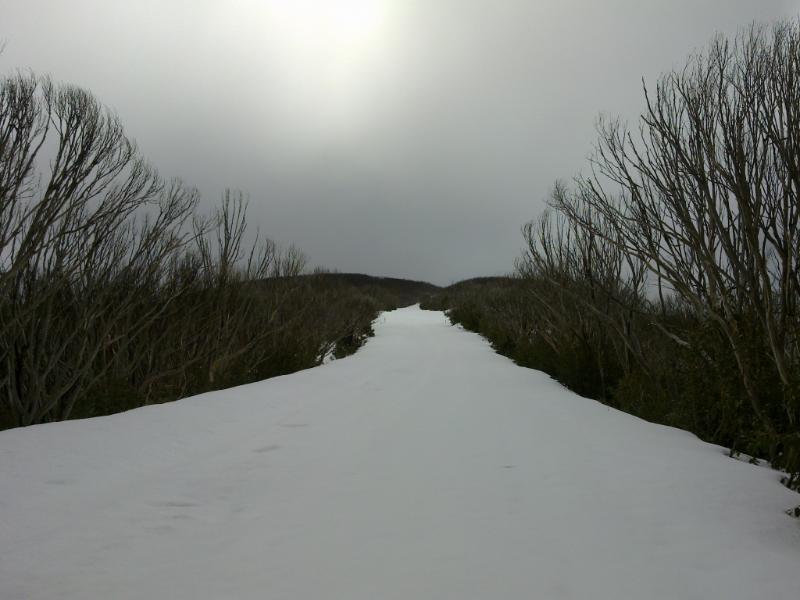 Snow trip areas in Victoria | 4x4Earth