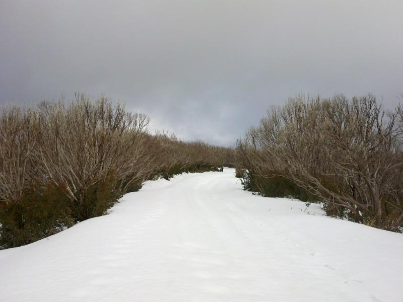 Snow trip areas in Victoria | 4x4Earth