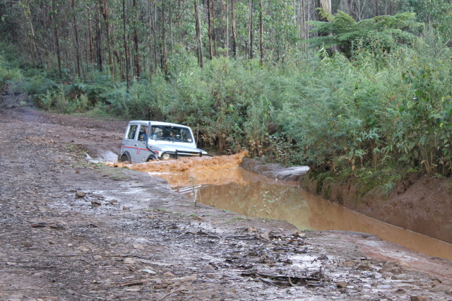 Toolangi April 28th. | 4x4Earth