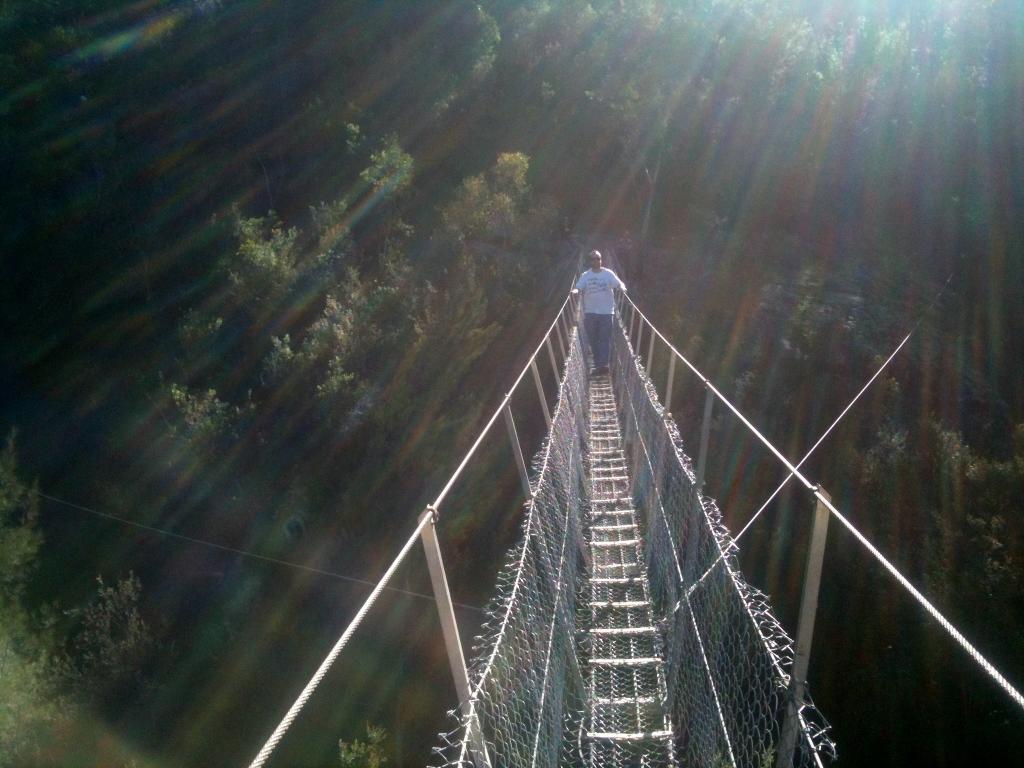 6 Foot Track and Lowes Mount State Forest | 4x4Earth