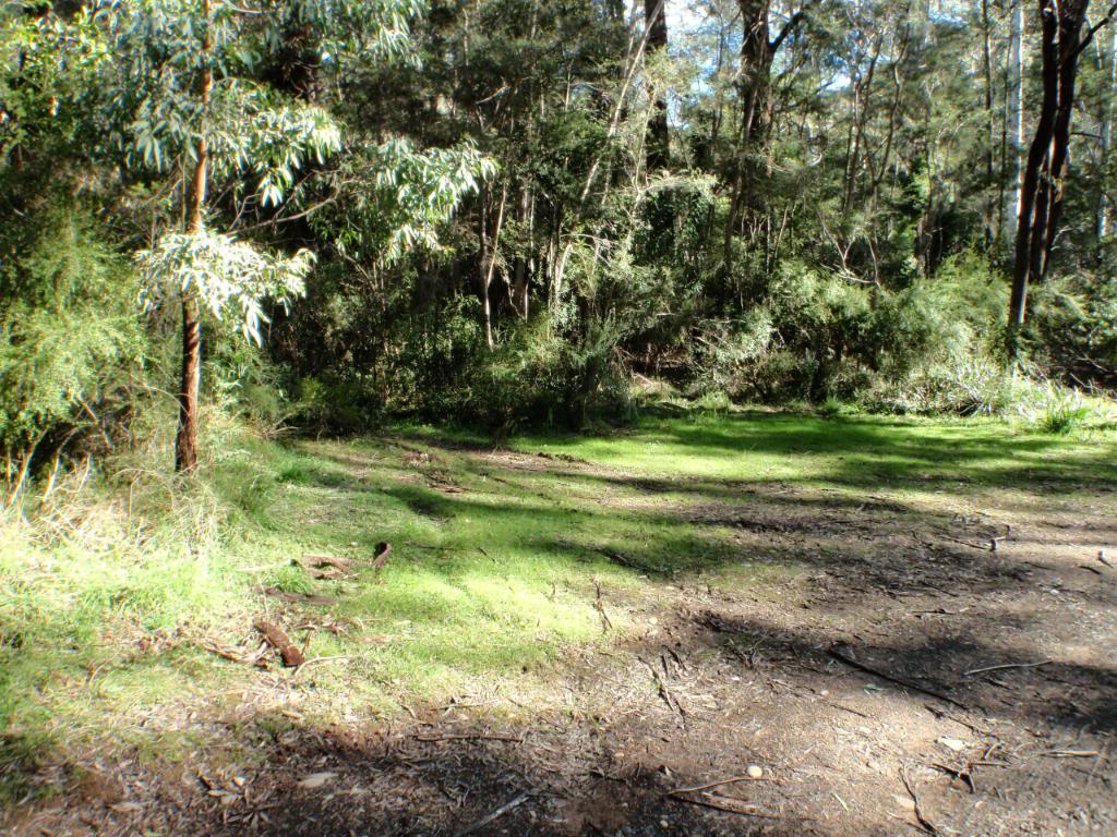 Skipworth 2011 - 4th Annual Victorian Gathering | 4x4Earth