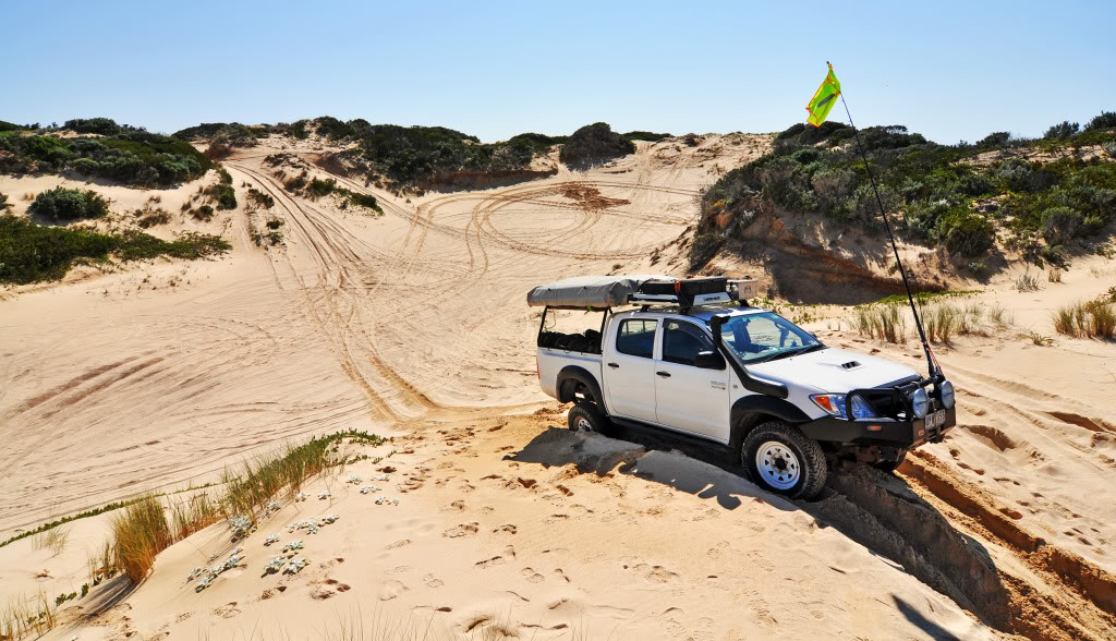 Sand flag | 4x4Earth