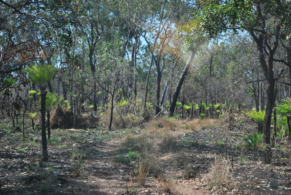 Ekki Adventurers - Pt 7 - Darwin to Gregory NP | 4x4Earth