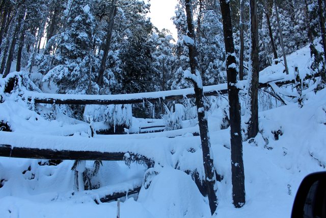 Mt Matlock 2 Aug 2014 | 4x4Earth