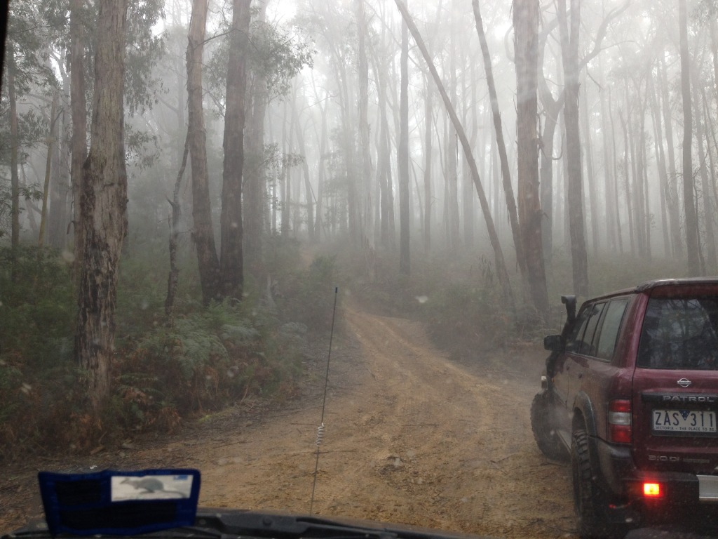 Toolangi 7th July | 4x4Earth