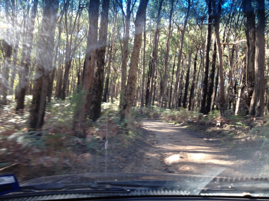 Toolangi 7th July | 4x4Earth