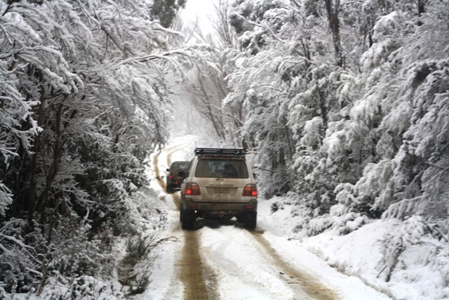 Trip Report: Vic Mount Useful and Selma | 4x4Earth