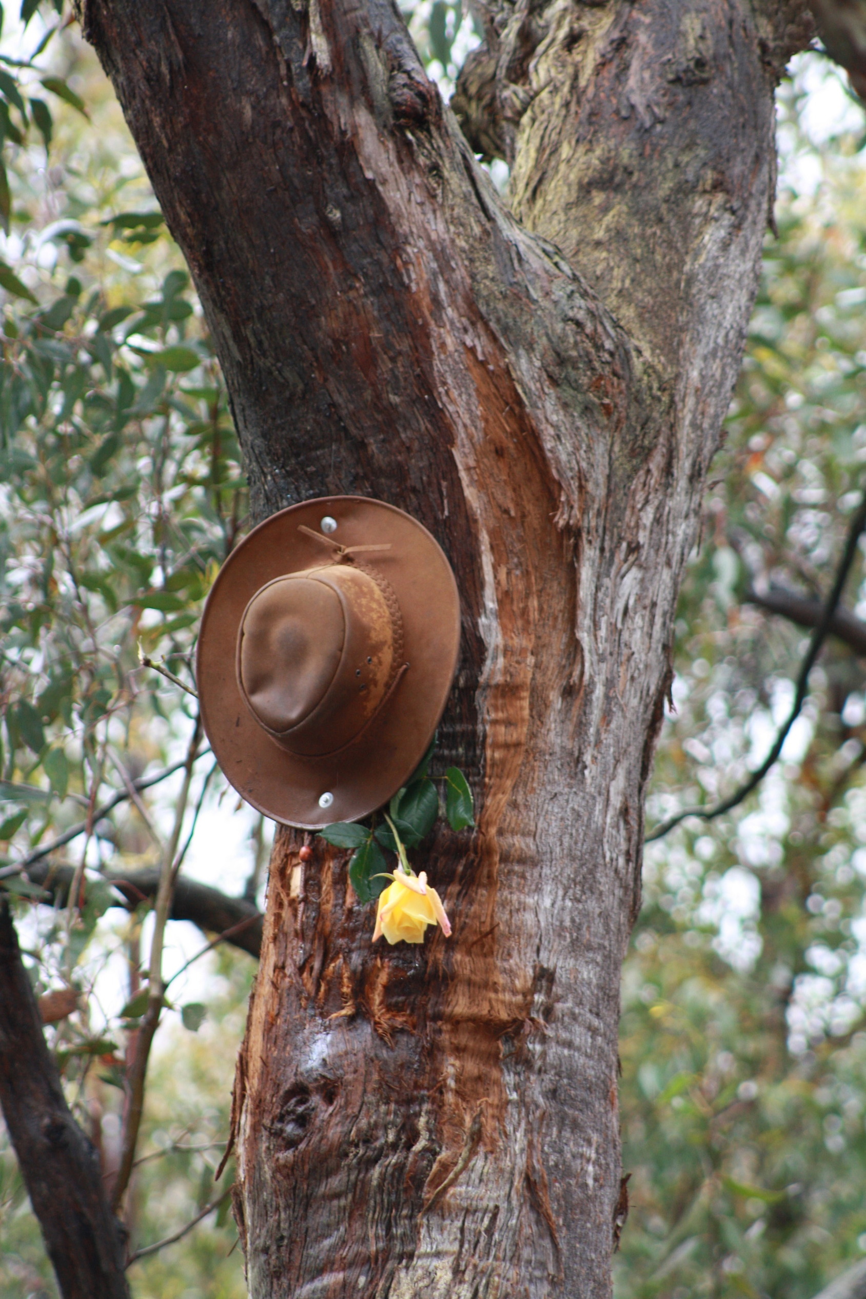 Trip Report, Mongrel Lux's, Malcolm Shields Last Ride | 4x4Earth