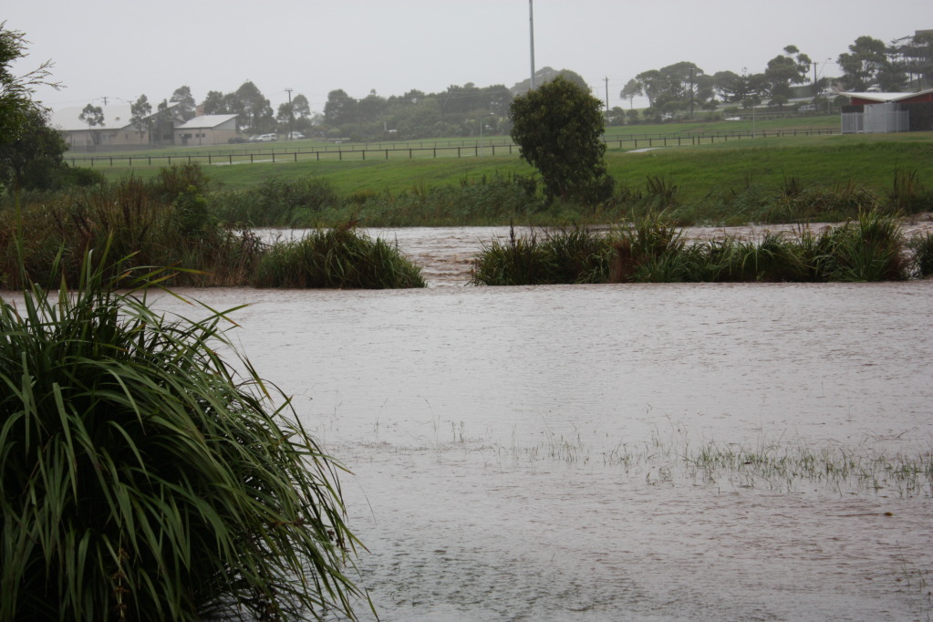 Bit Of Rain In Shellharbour | 4x4Earth