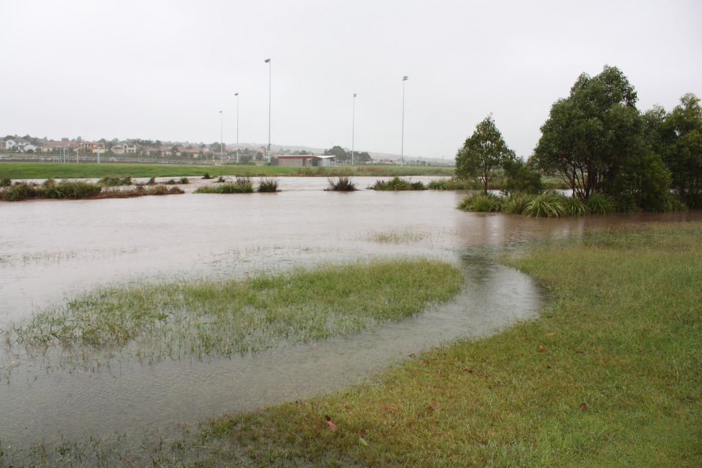 Bit Of Rain In Shellharbour | 4x4Earth