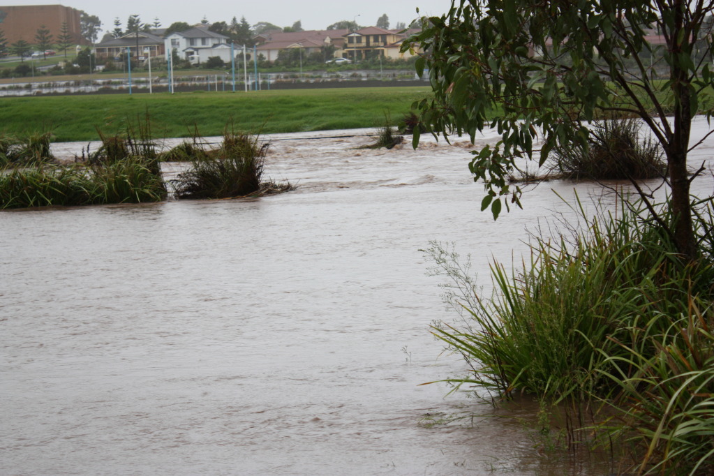 Bit Of Rain In Shellharbour | 4x4Earth