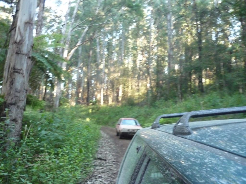 Bunyip 17 April | 4x4Earth