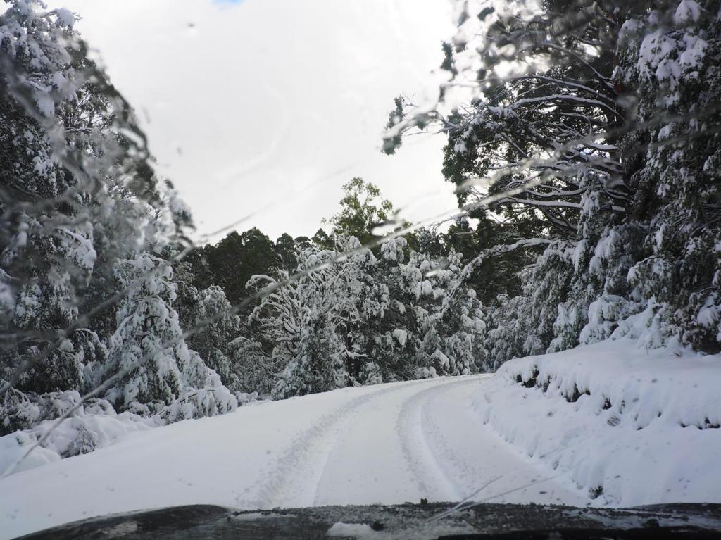 Mt Matlock 2 Aug 2014 | 4x4Earth