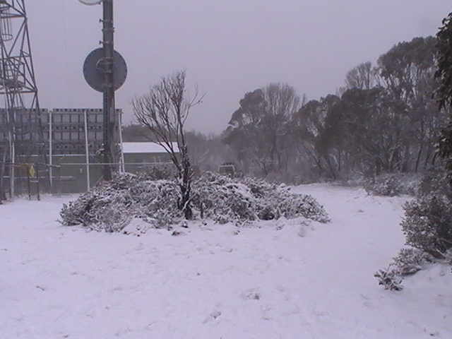 Trip Report: Vic Mount Useful and Selma | 4x4Earth