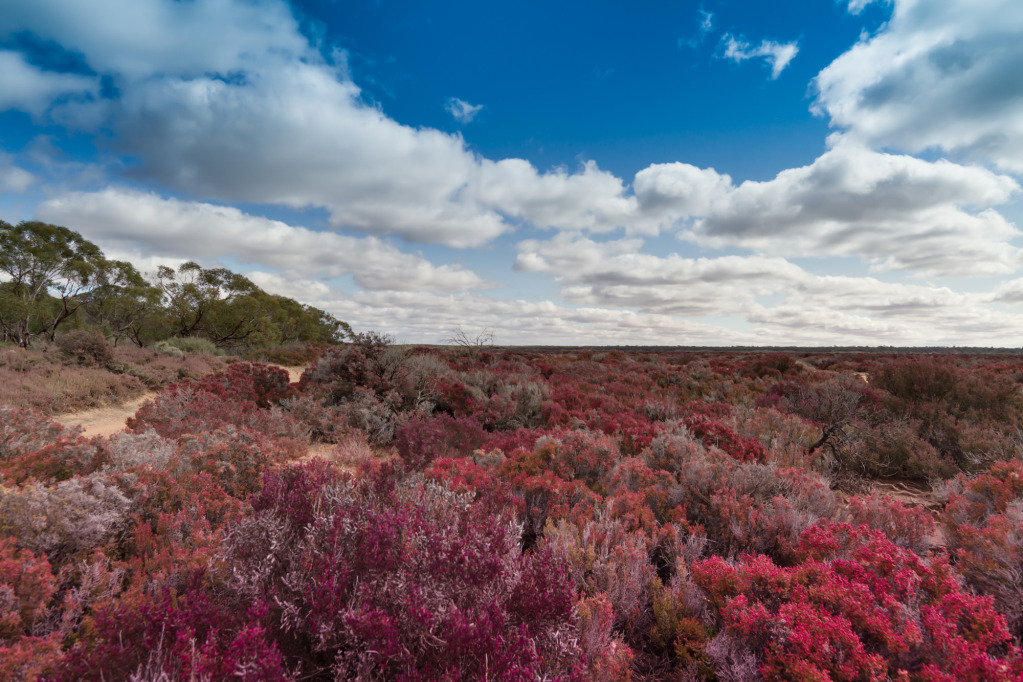 Murray Sunset NP & Border Track | 4x4Earth