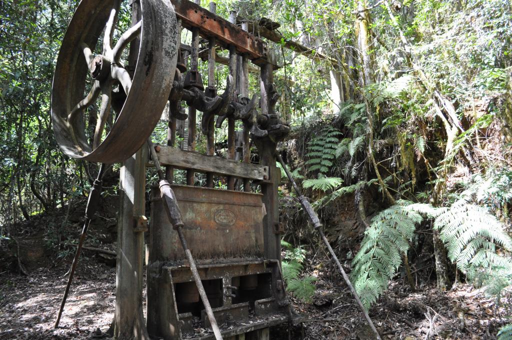 Swans crossing to the cells CSA | 4x4Earth