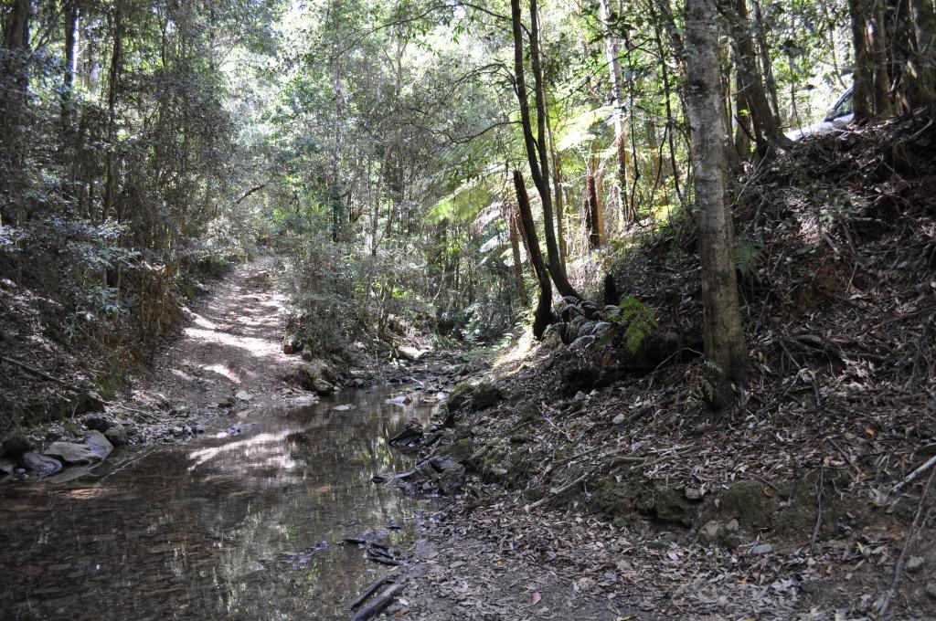 Swans crossing to the cells CSA | 4x4Earth