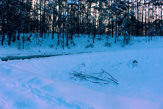 Mt Matlock 2 Aug 2014 | 4x4Earth