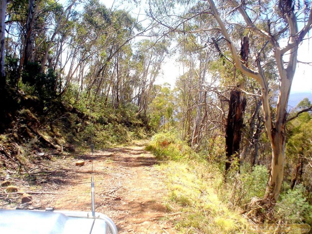 Elliott Way to Talbingo backtrack