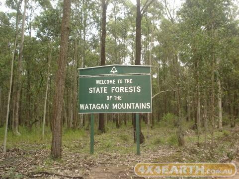 Watagans State Forest