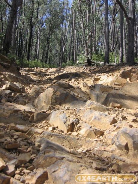 Toolangi - Rocky Trk