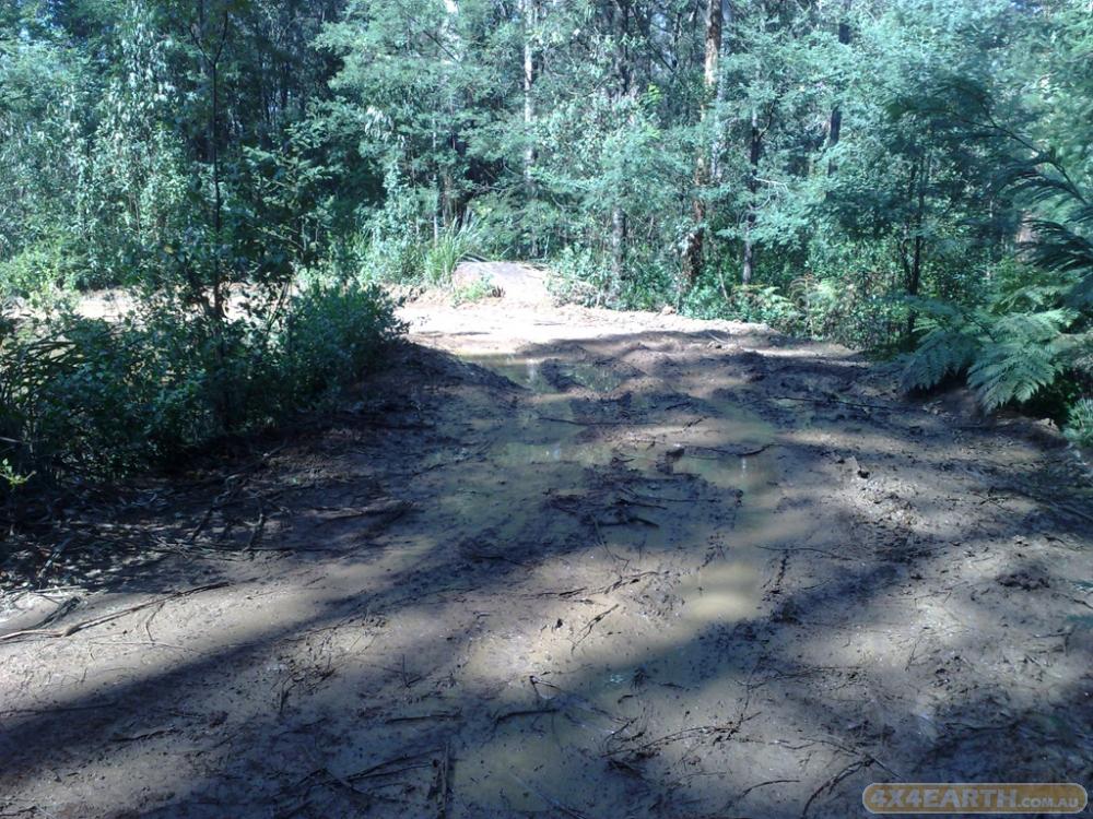 Blue Range Road - Bunyip State Forest