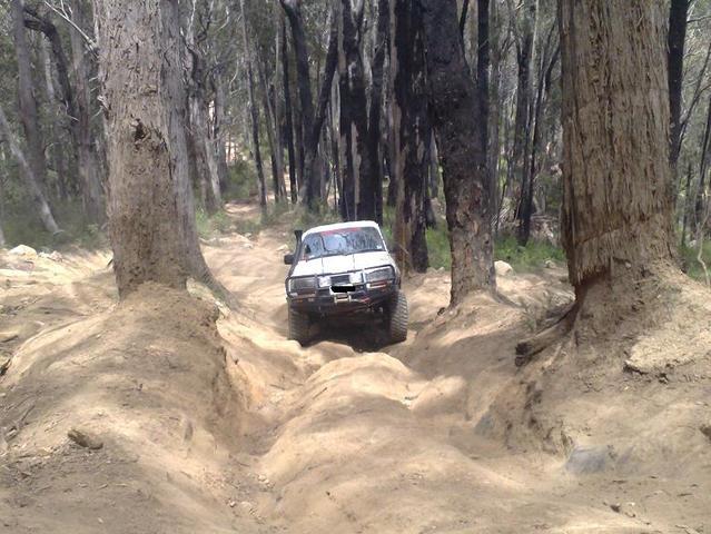 Rocky Track - Bunyip State Forest