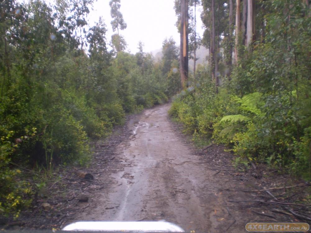 Spion Kopje Creek Track