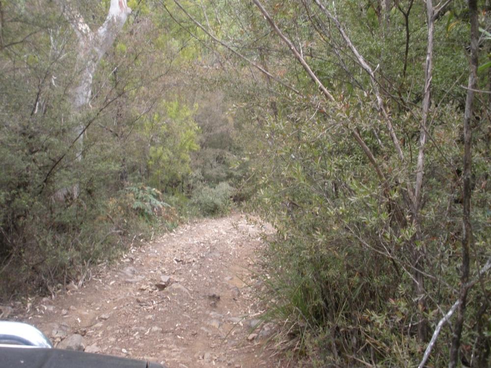 Tanjil River - Track 3