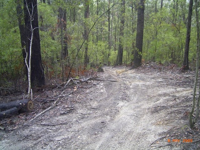 Latrobe River Crossing and Track