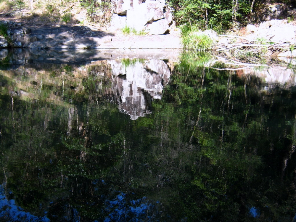 Bellthorpe State Forest Reserve 2