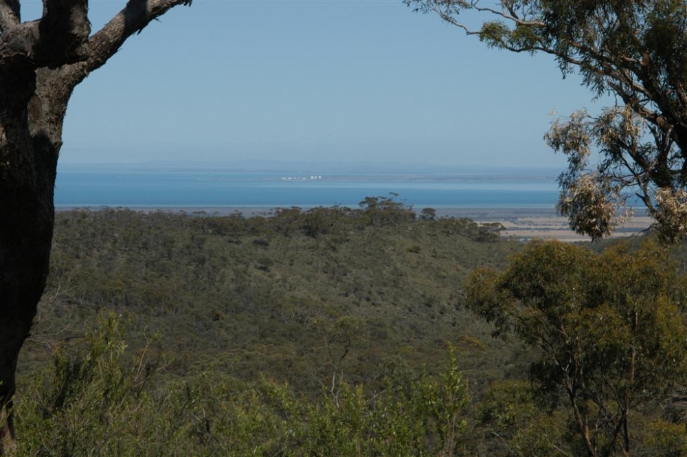 The Bridle Track Flinders Ranges