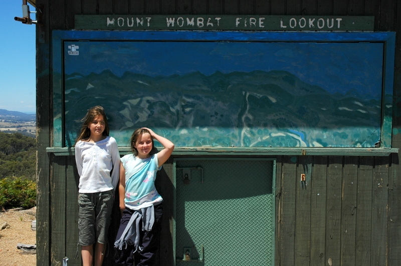 Mt Wombat
