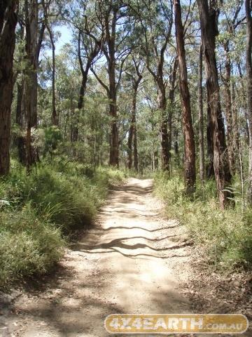Nash Creek Loop Track