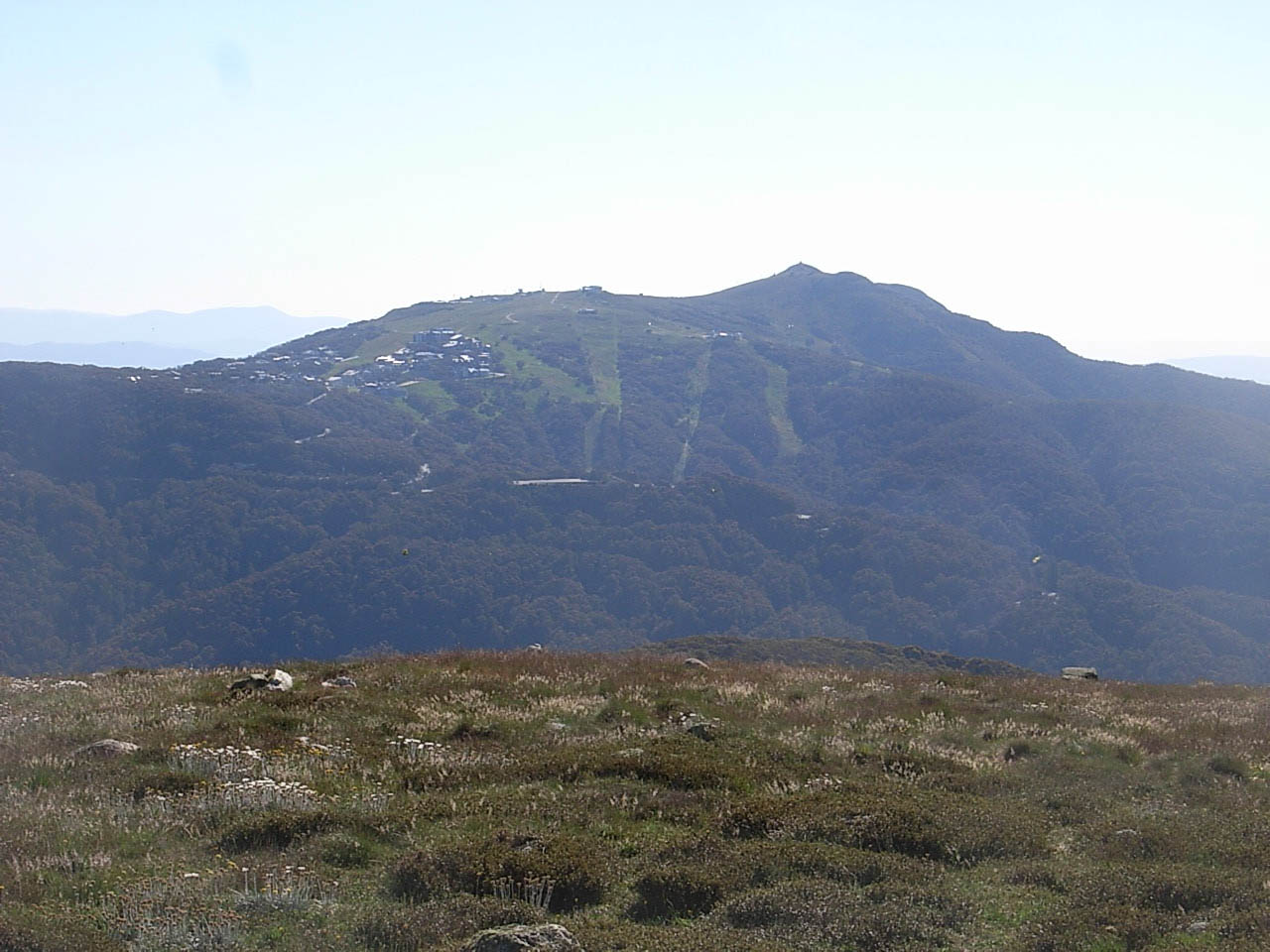 Mt Bulla Summit To Craigs Hut Via Mt Sterling Summit