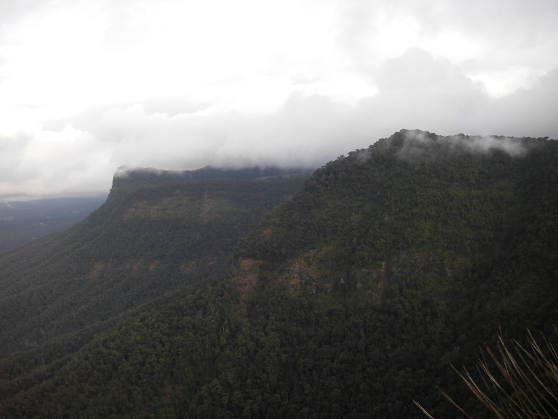 QLD/NSW Border Ranges Trip